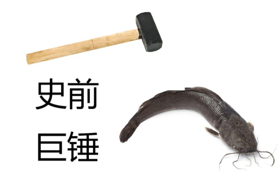 XDD高科技挂钛合金巨锤!15分钟没得洗!锤成鲶鱼饼!