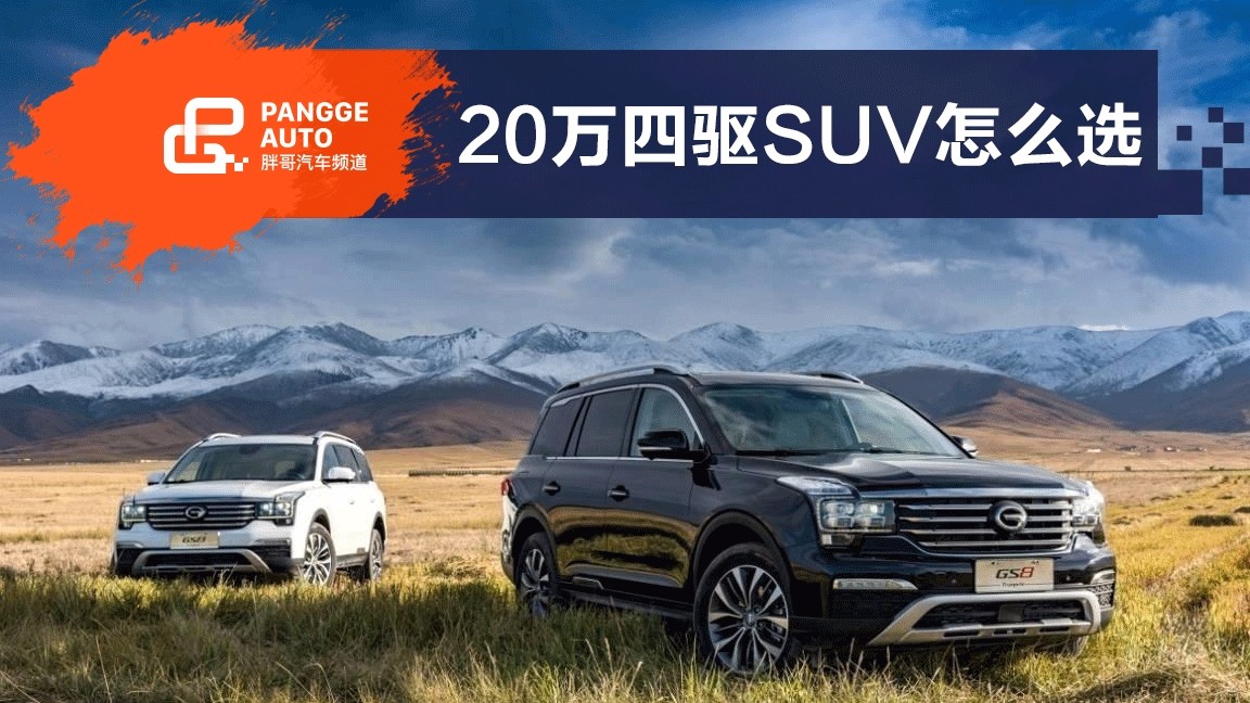 【胖哥选车】20万七座四驱SUV如何选择?