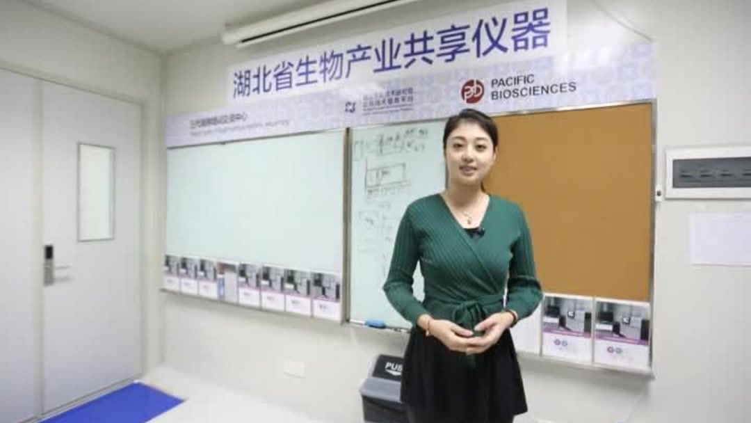 《武汉质量报告》第36期:帮助企业在摇篮中成长