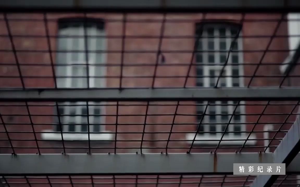 少年犯真的无药可救吗?邓尼丁研究会有怎样的分化界定?