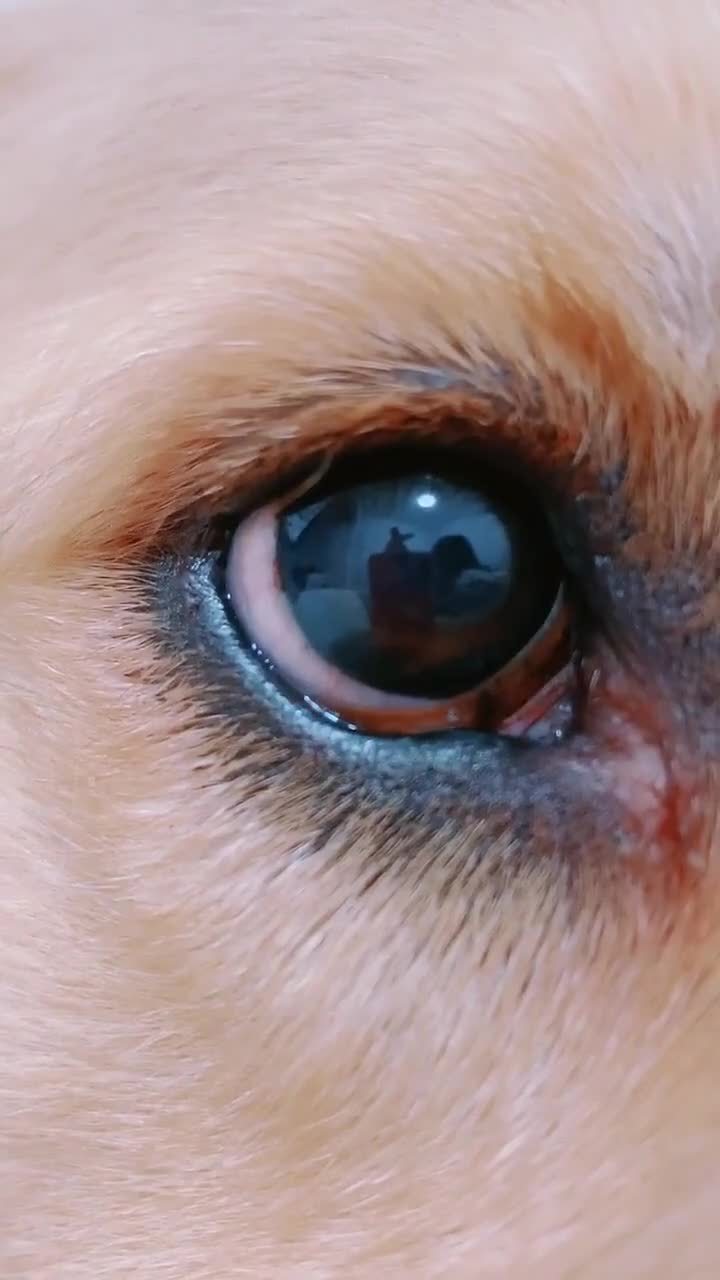 眼睛里看世界你看到了什么