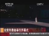 [中国新闻]索契冬奥会举行开幕式