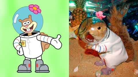 原来海绵宝宝也有原型!这一个个都是神还原!