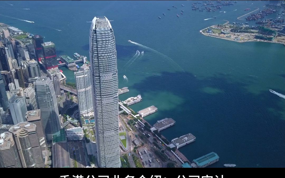 香港公司业务:公司审计