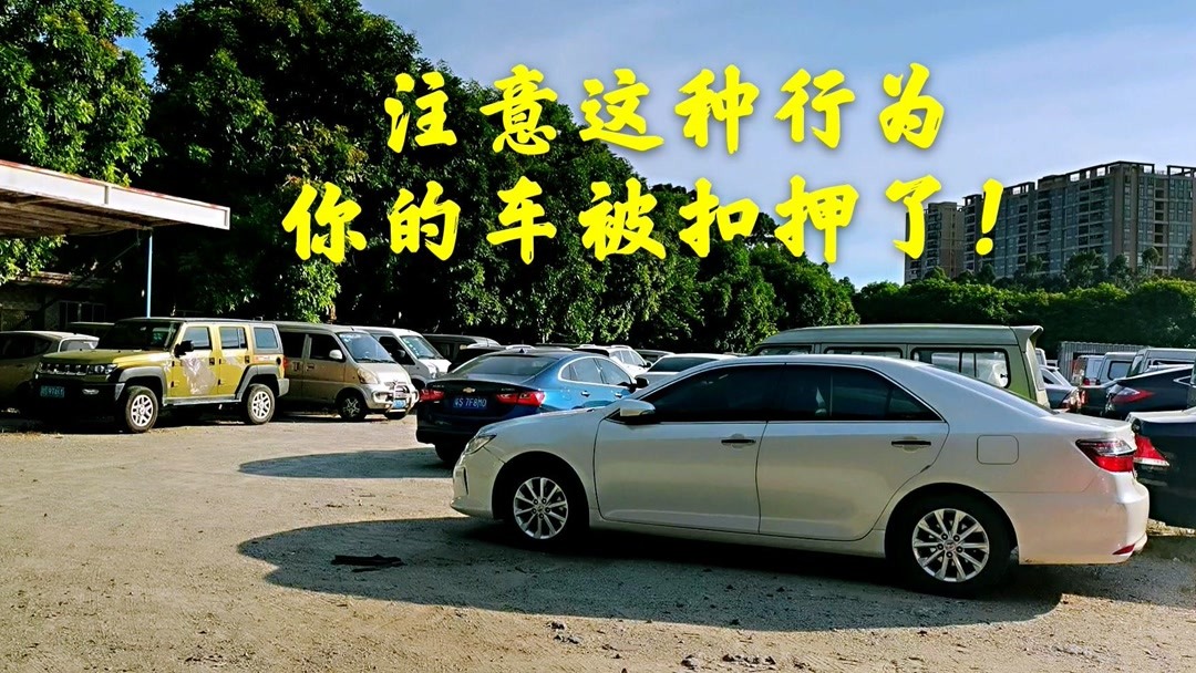 东莞开车忘带驾驶证,车被扣押,出示电子证照不认可,合理吗?