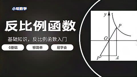 反比例函数——反比例函数的表达形式四段