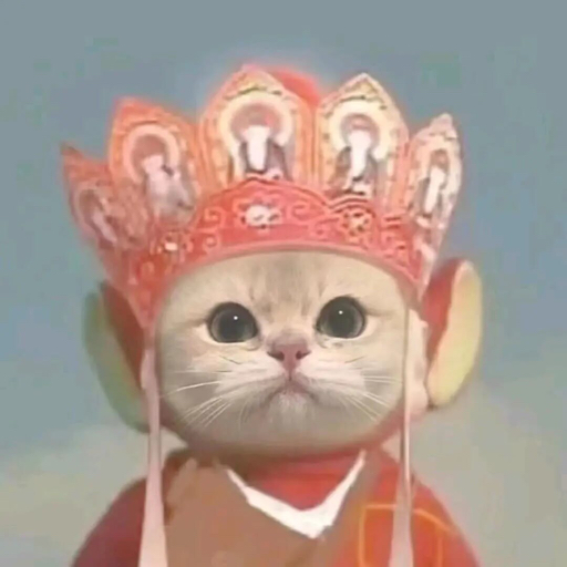 二渔coco 