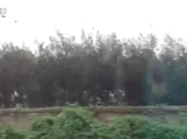 T163次列车苏州312国道超车。