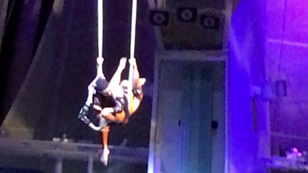 《雅特旅游》～美国皇家加勒比“海洋魅力号邮轮”上的“水上杂技...