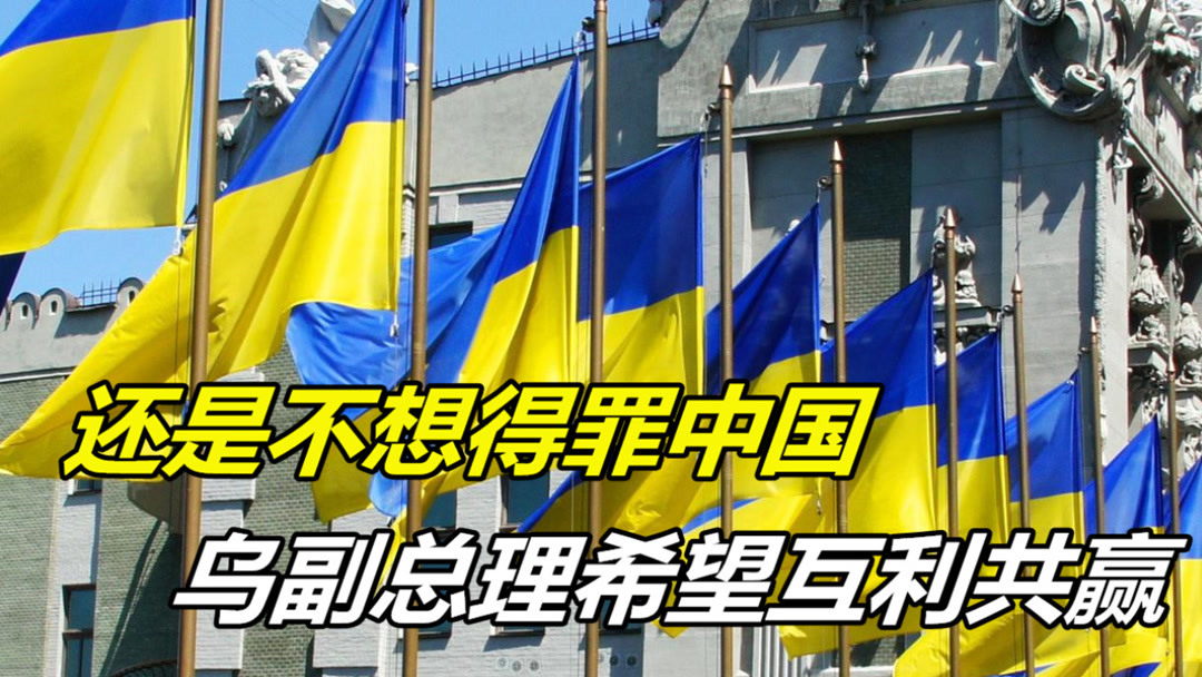 禁用华为撕毁协议后,乌克兰副总理:希望与中国互利共赢