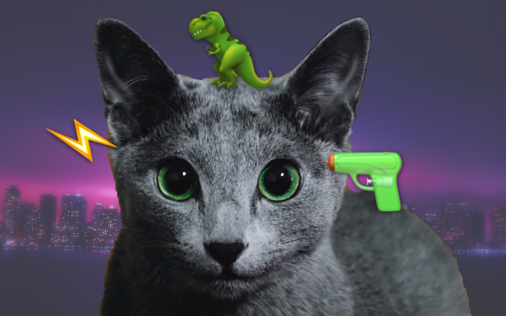 养一个像狗一样的猫是什么体验?
