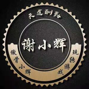 傲骨小辉爱游戏 