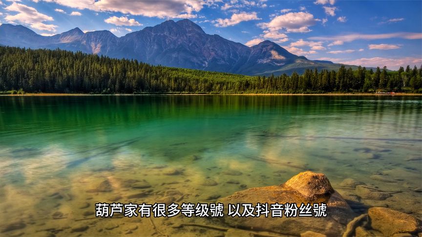 抖音店铺评分怎么能提升