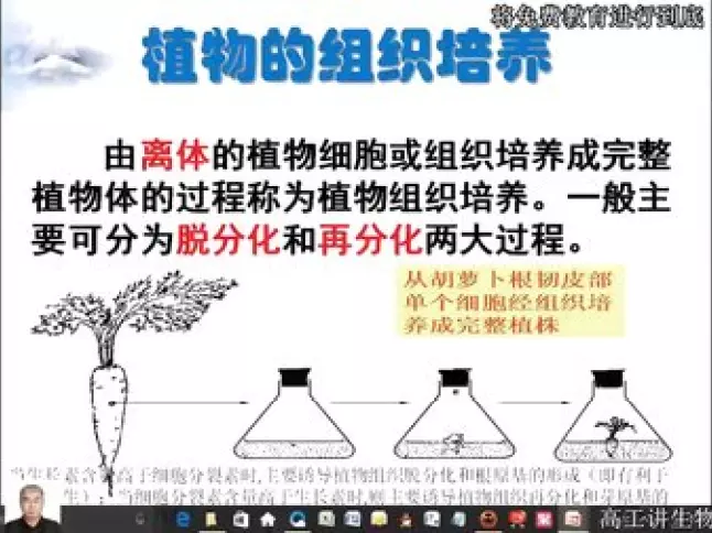 ...生物必1修高中生物分子与细胞第6章细胞的生命历程第2节细胞的分化