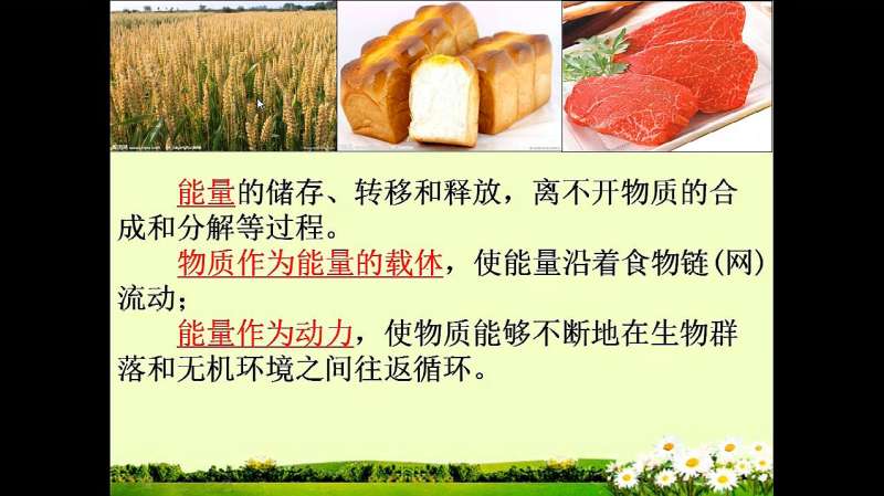 6.生态系统中的物质循环——伴随能量流动