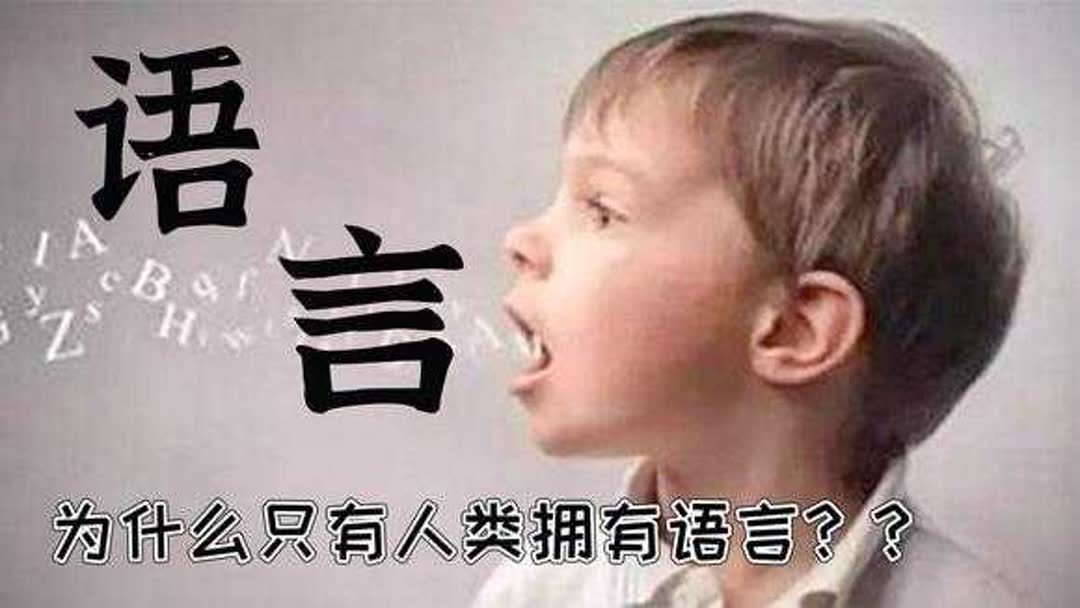一周创作出一门语言?说话究竟是先天的还是后天学习的?纪录片