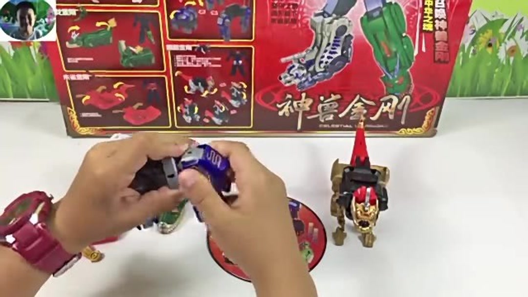青龙再现 五神兽合体成 神兽金刚 玩具分享