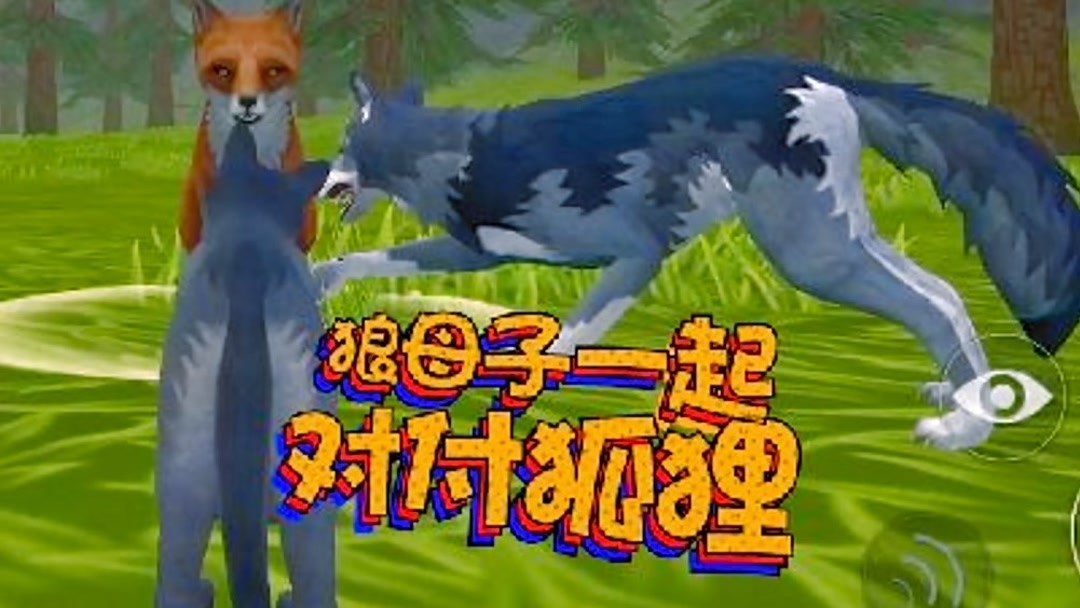 小狼在离开妈妈前对付了一只狐狸 狼模拟器游戏