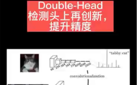 Double-Head:检测头上再创新,提升精度