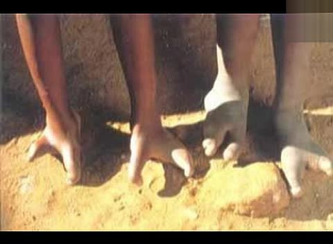 黄伟浩读书吧《世界地理》世界人种、语言