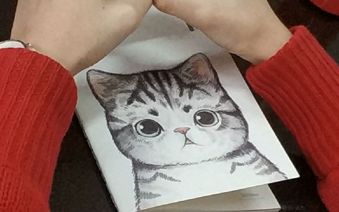 17党史大二下学期开学班会(V)2019.03.07 班主任王老师作重要讲话