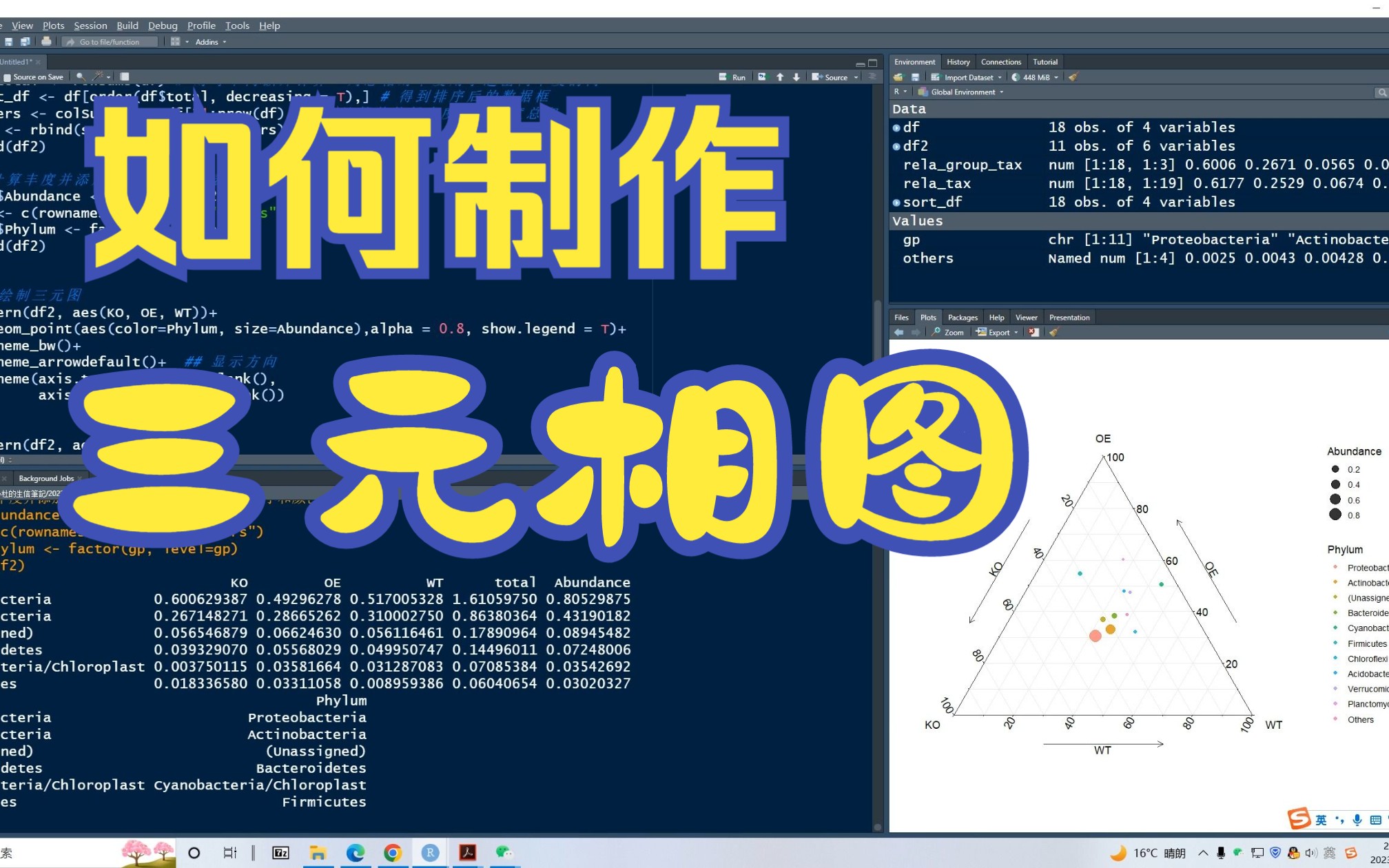 R语言绘制三元图的教程