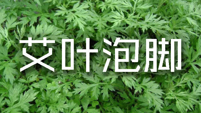 路边一抓一大把的艾草,泡脚放一点,寒气不见病不来