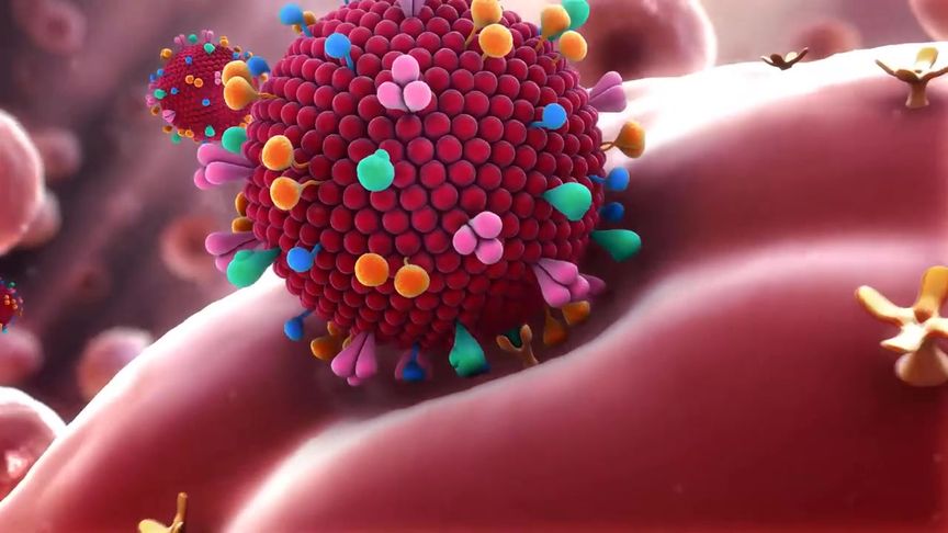 新冠病毒(2019 nCoV) 3D 画面解释