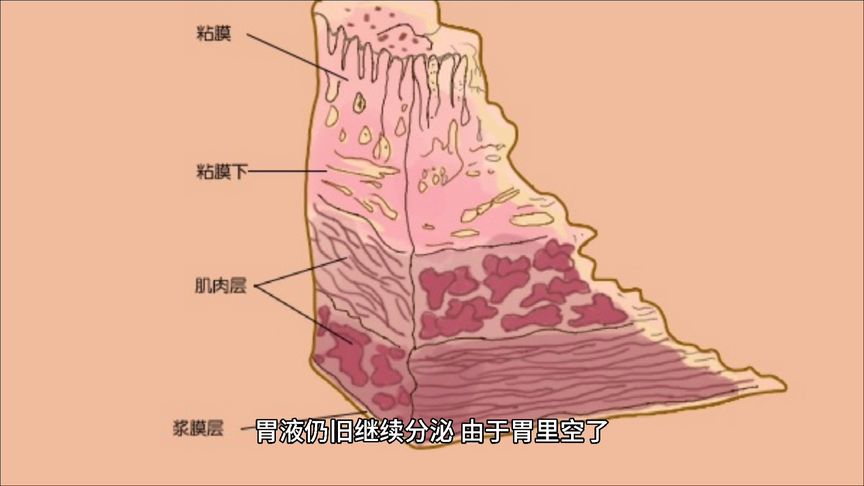 为什么肚子饿了会咕咕叫