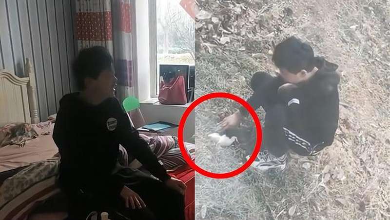 男孩睡觉时压死宠物猪,当场崩溃哭到眼肿,爸爸一句话让人笑哭了