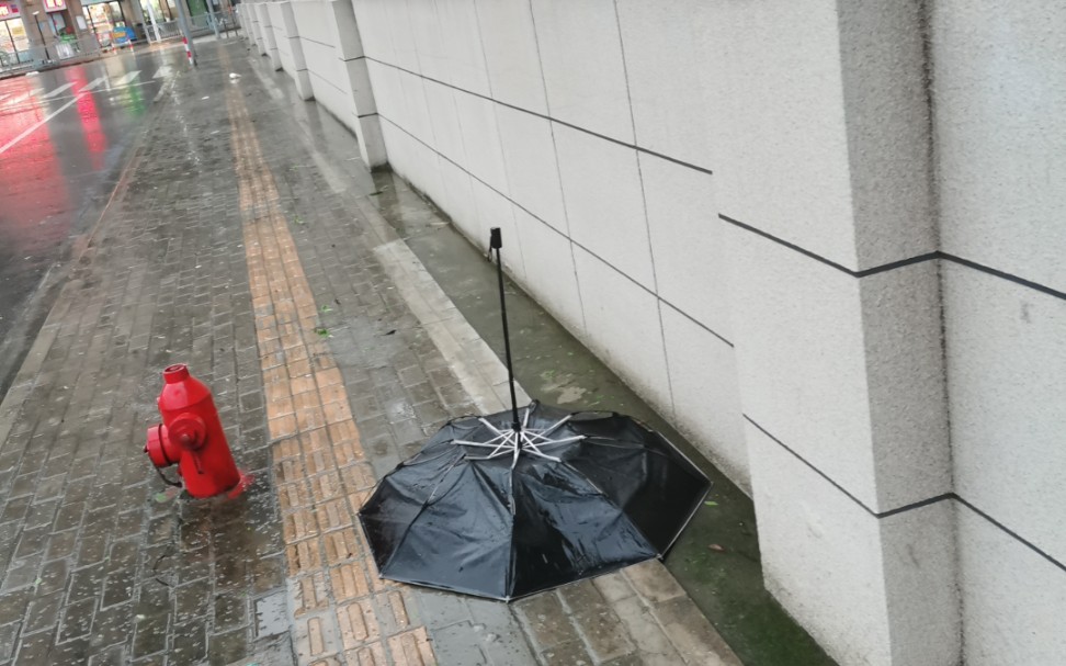 上海台风,走在路上差点没把一百五十多斤的我送走