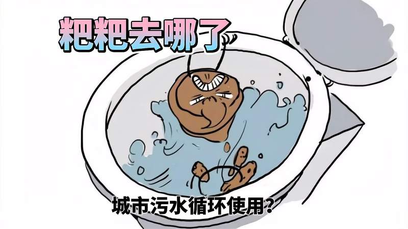 你知道拉的粑粑都去哪了吗?3分钟带你了解城市污水处理过程