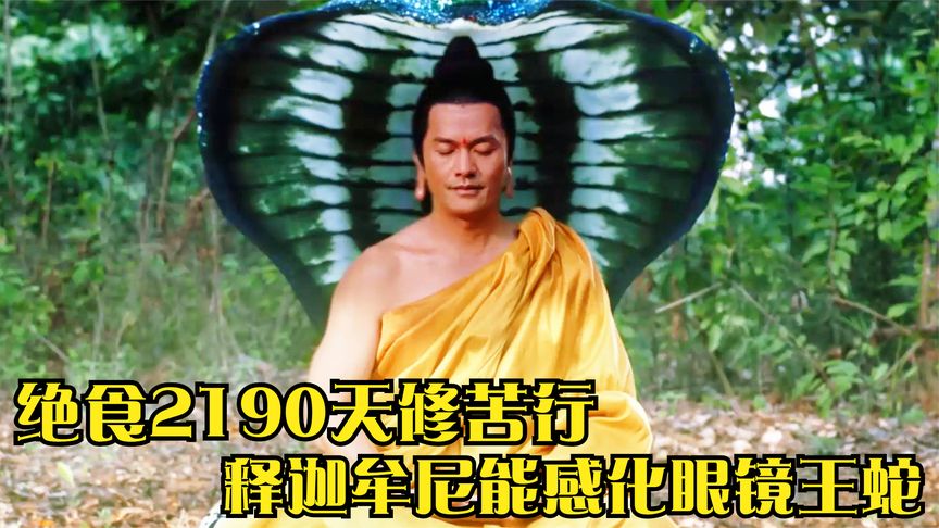 眼镜王蛇被佛祖感召化身雨伞,释迦牟尼众弟子面前展现神迹剧情片