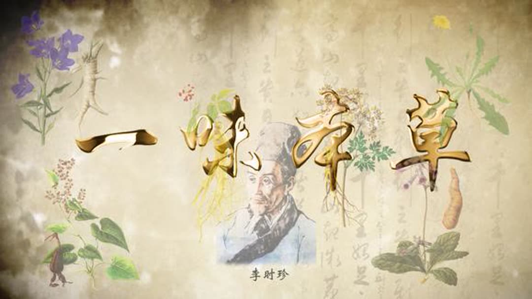 老人三宝:西洋参、三七、丹参 有效保护心血管!告诉爸妈!
