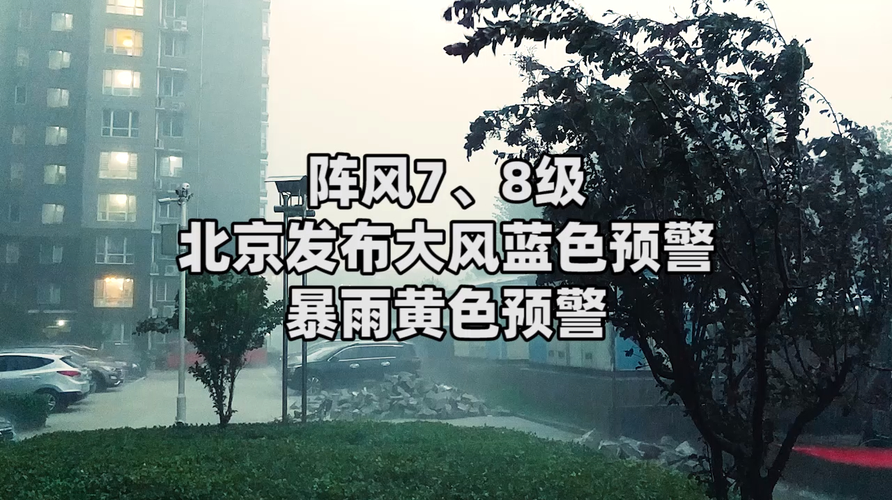 阵风7、8级!北京发布大风蓝色预警 暴雨黄色预警