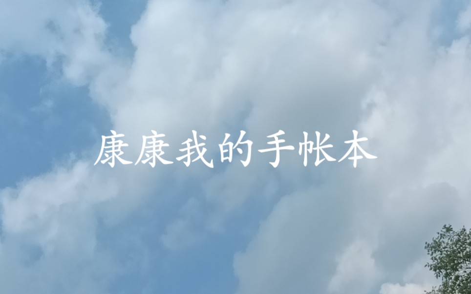 【手帐排版】我的计划(日记)手帐本排版