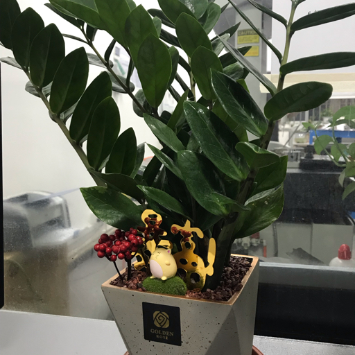 捷辉创供模佬 