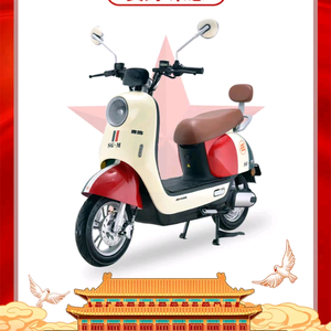 电动车品牌质量排行榜 