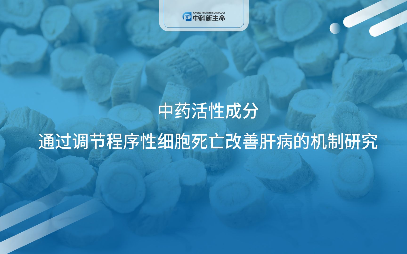 【中科新生命】中药活性成分通过调节程序性细胞死亡改善肝病的机制...