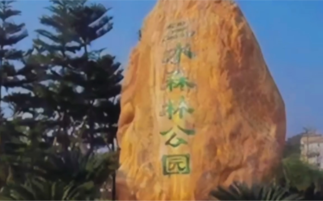 30秒带你了解国家4A景区三水森林公园!