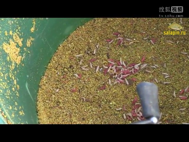 海矶鲷类浮标钓法真鲷钓法钓鱼简单挂饵法