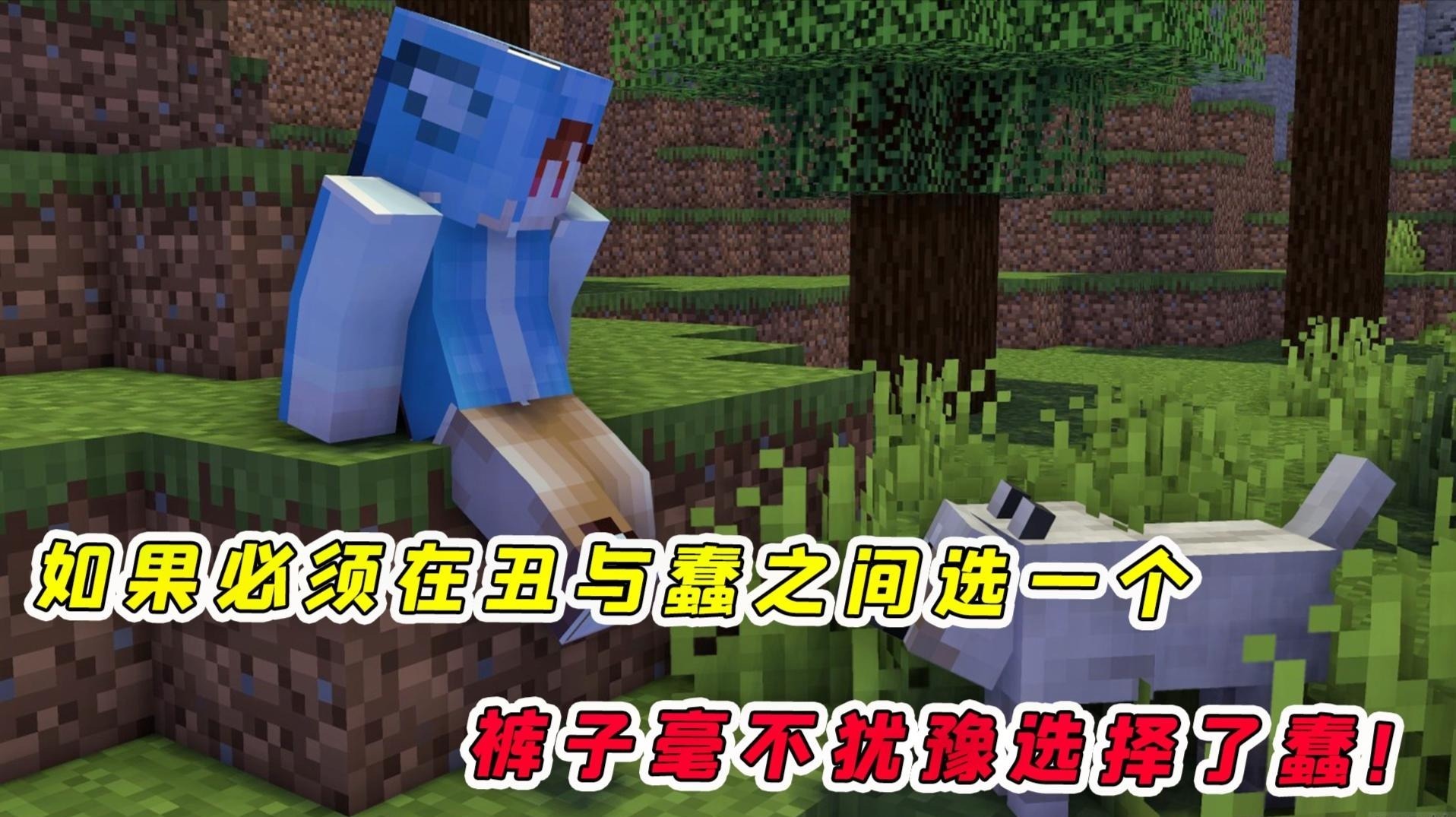 我的世界:如果必须在丑与蠢之间选一个,裤子毫不犹豫选择了蠢