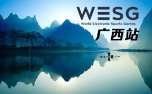 《炉石传说》WESG2017中国区预选赛广西站总决赛(小易解说)【7月...