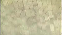 赵州桥教学视频