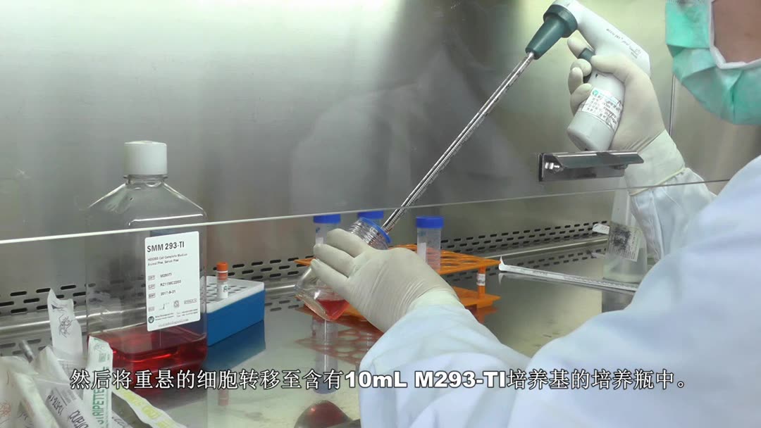 细胞复苏培养完整版
