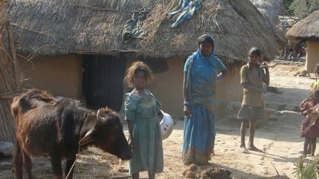 印度村庄200多人长得一模一样,德国专家研究后说了5个字