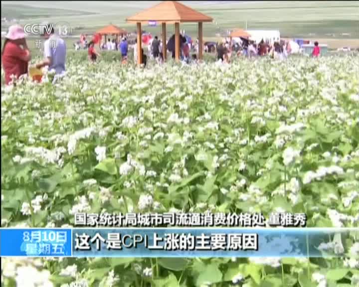 国家统计局公布7月数据:物价温和上涨 市场供求持续改善