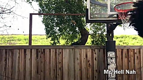 去你的篮球梦 小哥演绎凶残火锅扇帽叫板模仿帝