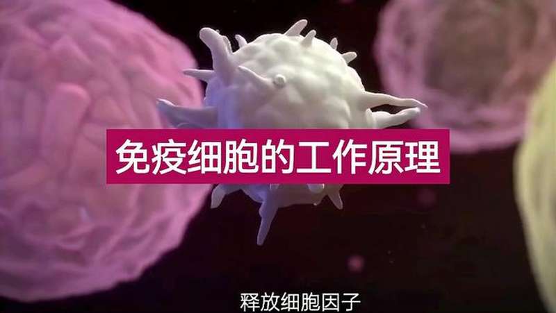 当病毒入侵人体,免疫细胞是如何消灭它们的