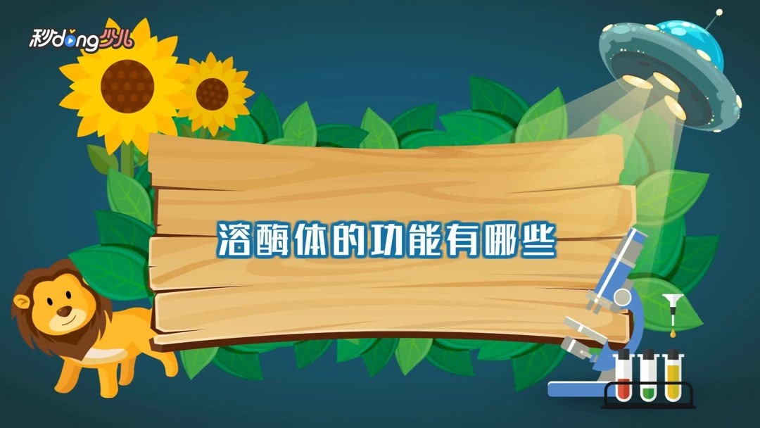 溶酶体的功能有哪些